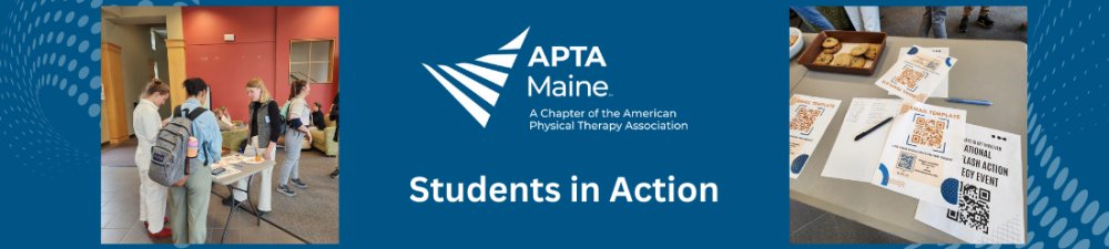 Everything You Need to Know About Flash Action Strategy - Maine APTA